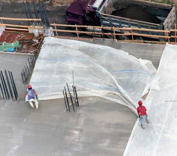 All about Curing - Kryton